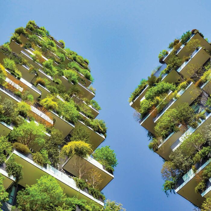 Early careers | RWK Goodman